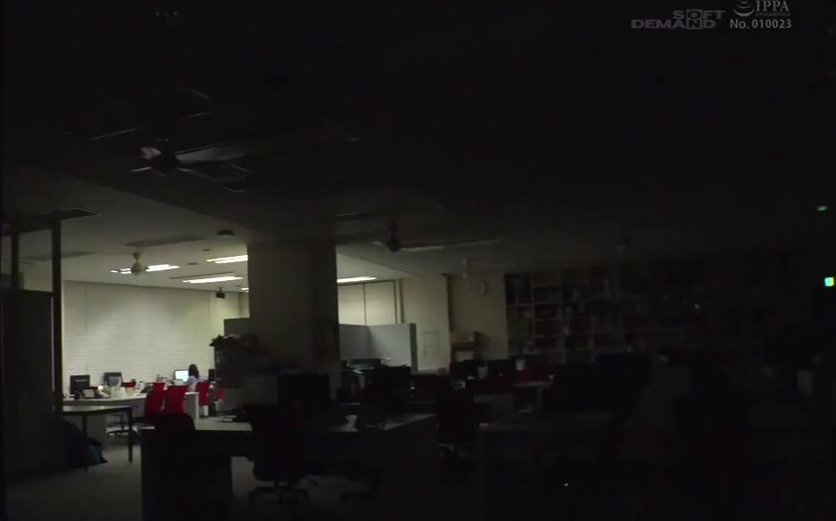 SDJS-228 おっとりしてるのに、なんか色っぽい。定期面談で皆を癒してくれる人事部 石川さんの裸が見たい！…という社内の声多数だったので、AV出演させたら、ギャップヤ